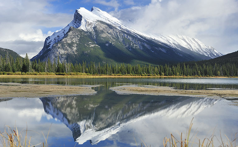 Banff Foundation for Allograft Pathology - BANFF