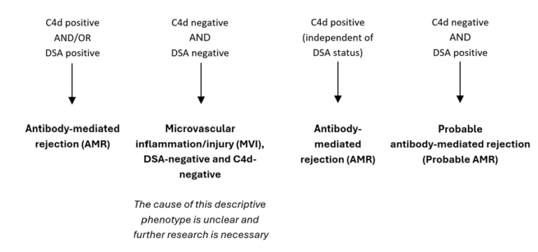 Reference Guide to the Banff Classification - BANFF
