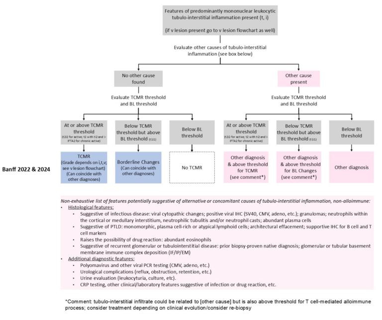 Current Reference Guide to the Banff Classification - BANFF